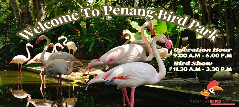 Penang Bird Park | The First & the largest bird park of its kind in ...